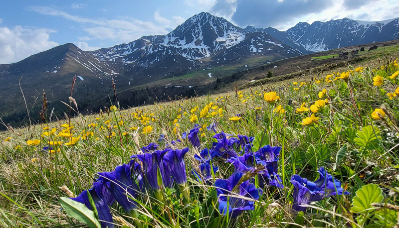Rangger Köpfl - Bergbahnen Oberperfuss